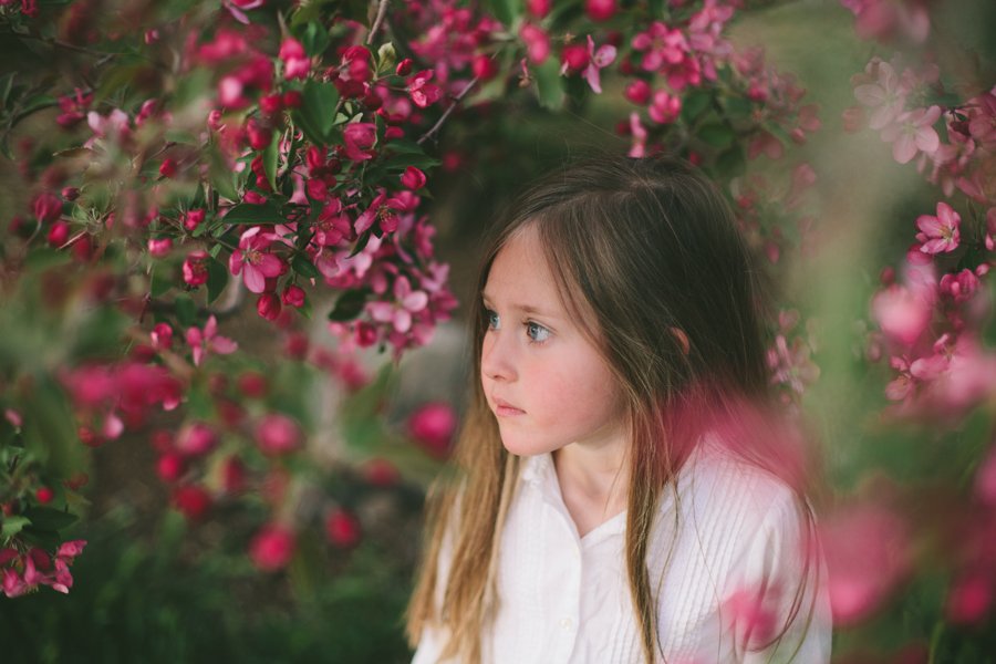 jamy beecher photography | wedding & portrait photographer based in the ...
